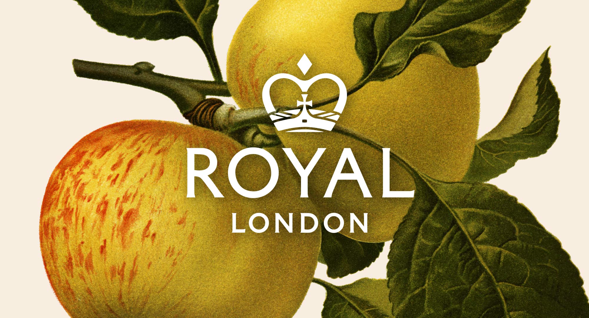 Royal London - Designhouse | Brand identity | Brand agency
